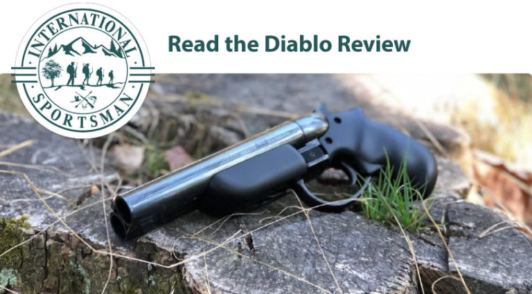 Diablo 12 Gauge Pistols, Collectors Set, Nickel and Blued Finish with ...