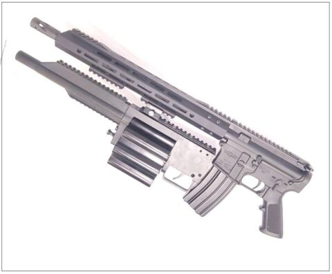 Diablo 12 Gauge Pistols, Collectors Set, Nickel and Blued Finish with ...